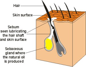 Bringing Joy to Parkinson’s research – The Science of Parkinson's