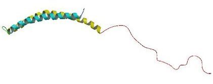 Alpha Synuclein – The Science of Parkinson's