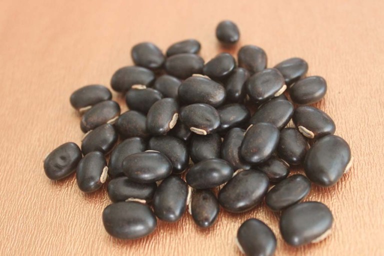 Plan B: Itchy velvet beans – Mucuna pruriens – The Science of Parkinson's