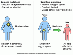 Genetics of PD – The Science of Parkinson's