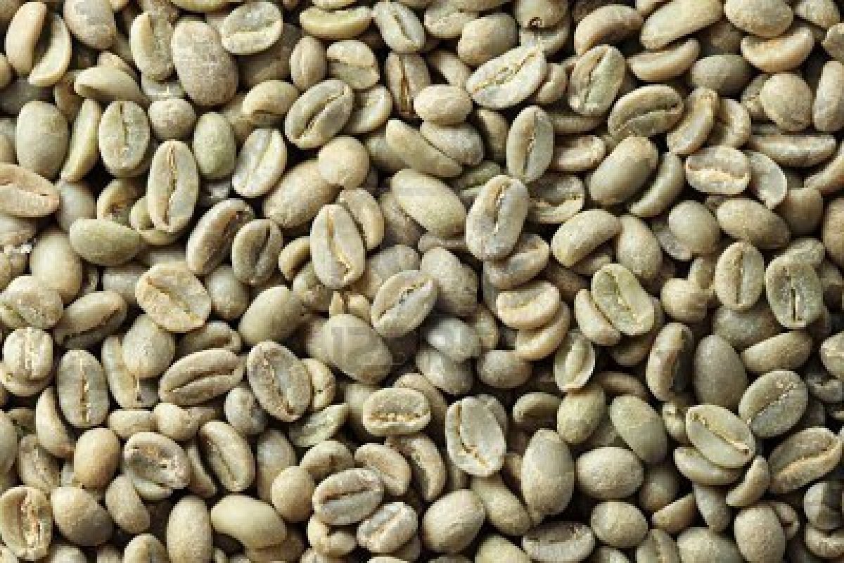 The mystery of caffeine – The Science of Parkinson's