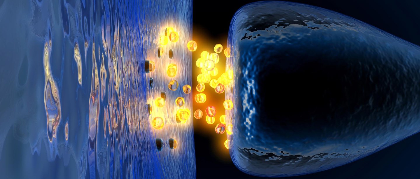 Direct dopamine delivery – The Science of Parkinson's