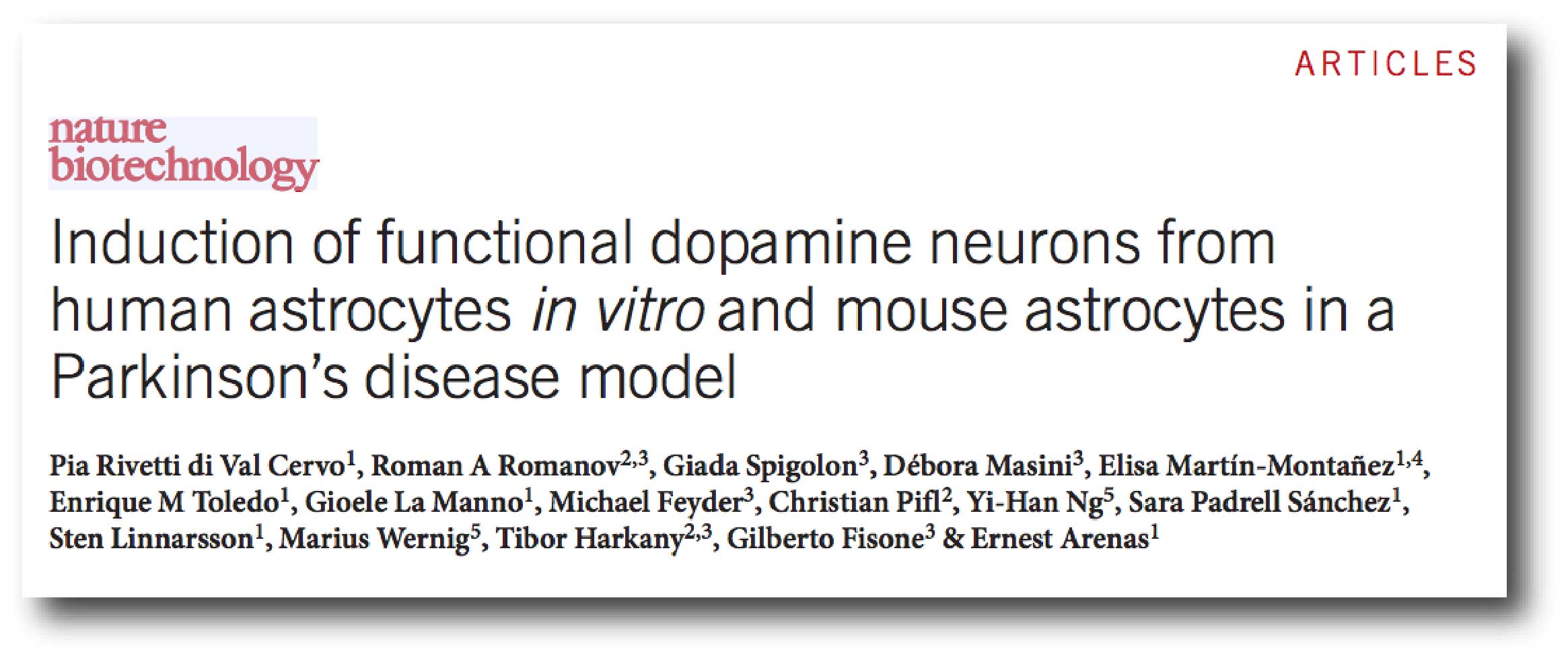 On astrocytes and neurons – reprogramming for Parkinson’s – The Science ...