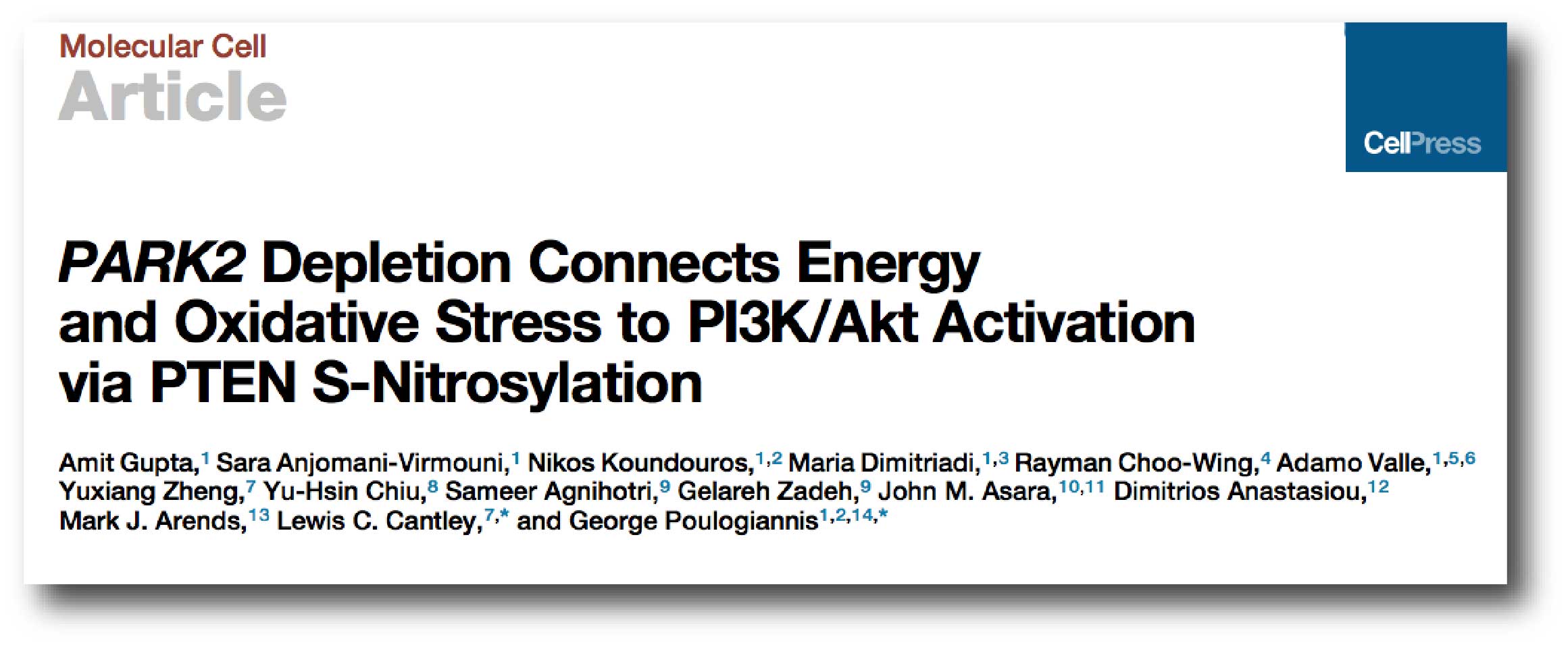 PARK2 and the big C – The Science of Parkinson's