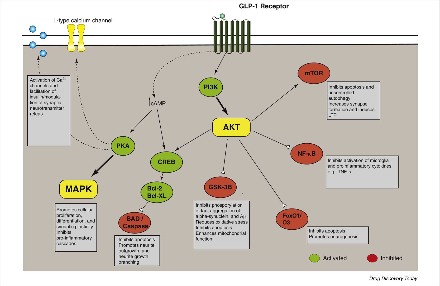 A rising tide with liraglutide – The Science of Parkinson's