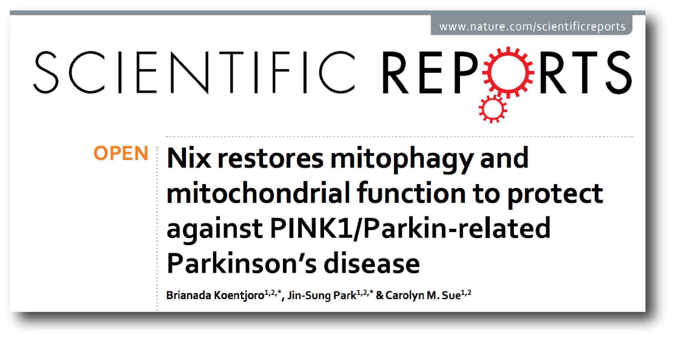 NIX-ing the PARKIN and PINK1 problem – The Science of Parkinson's