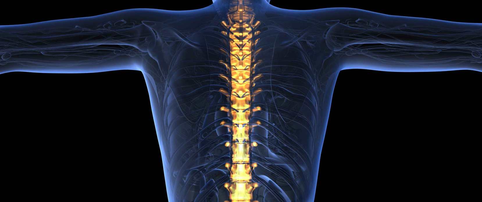 Spine-tingling research – The Science of Parkinson's