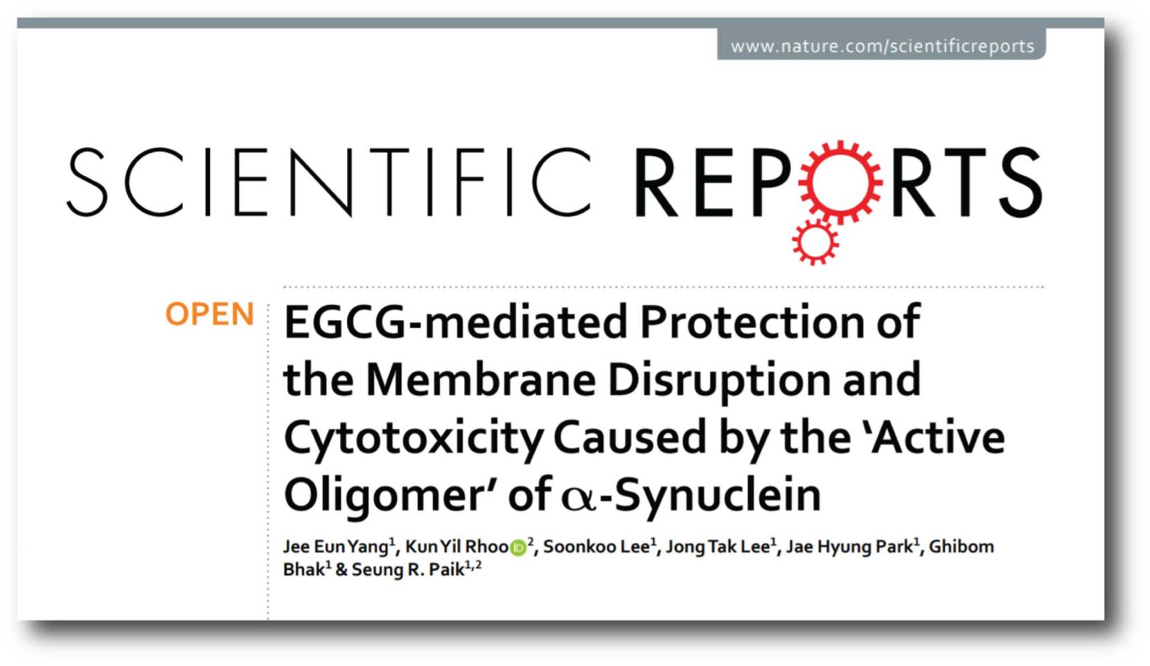 EGCG: Anyone fancy a cuppa? – The Science of Parkinson's