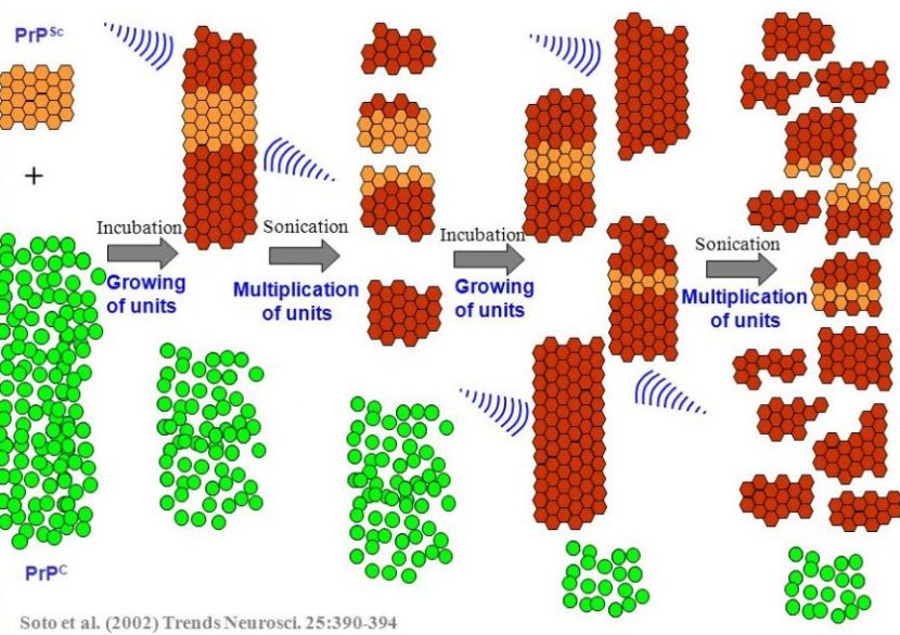 Differentiating PD from MSA – The Science of Parkinson's