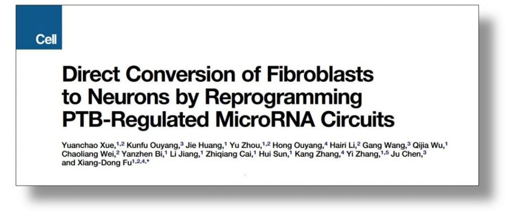Ptbp1: “One and done”(?) – The Science of Parkinson's