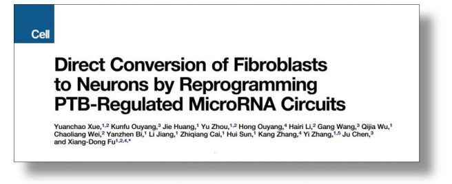 Ptbp1: “One and done”(?) – The Science of Parkinson's