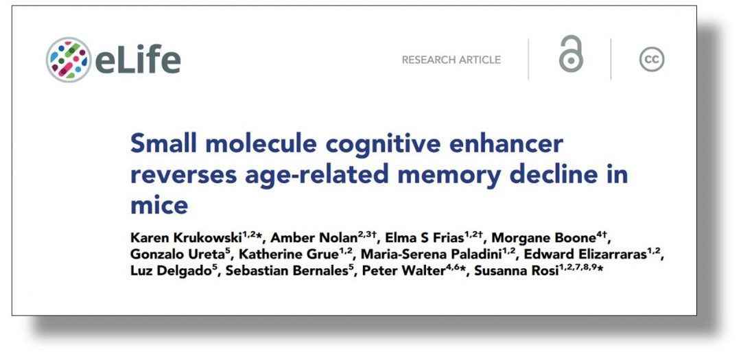 ISR InhiBitor – The Science of Parkinson's