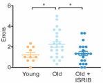 ISRIB: The ISR InhiBitor – The Science of Parkinson's