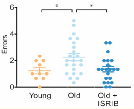 ISRIB: The ISR InhiBitor – The Science of Parkinson's