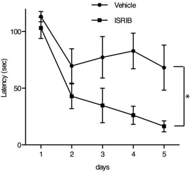 ISRIB: The ISR InhiBitor – The Science of Parkinson's