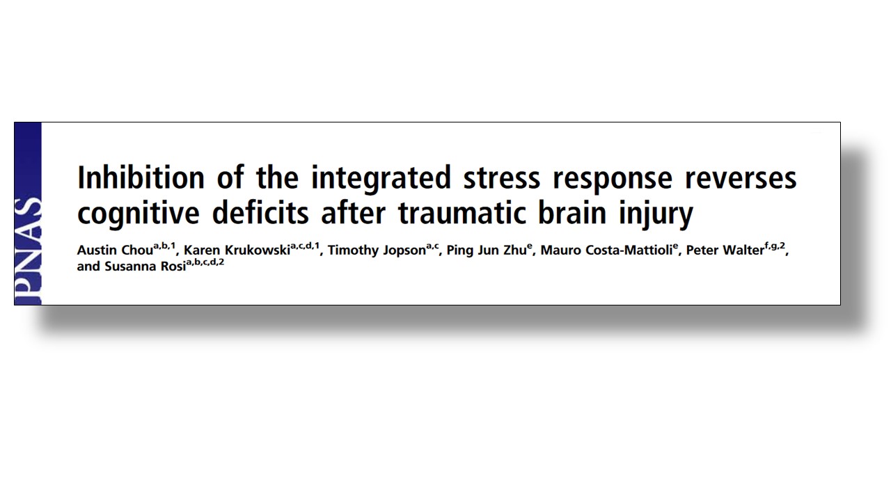 ISRIB: The ISR InhiBitor – The Science of Parkinson's