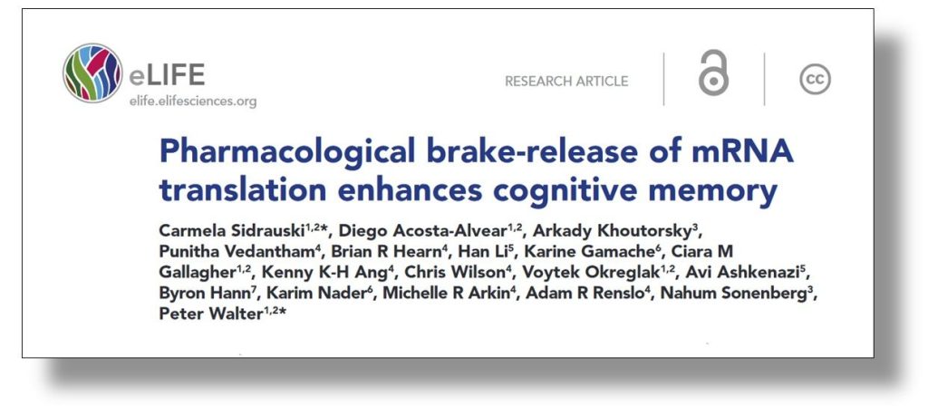 ISRIB: The ISR InhiBitor – The Science of Parkinson's