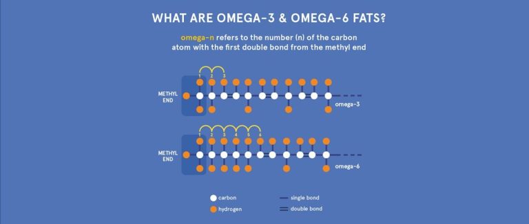 Omega+omega=a mega result? – The Science of Parkinson's