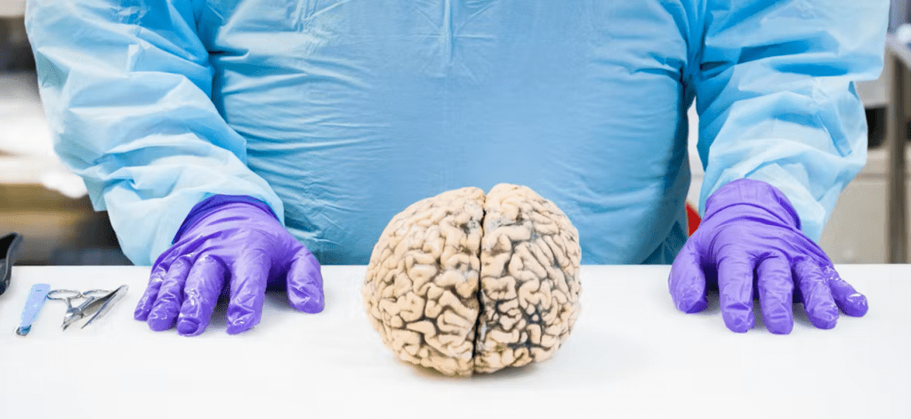 The road ahead: 2025 (part 1) – The Science of Parkinson's